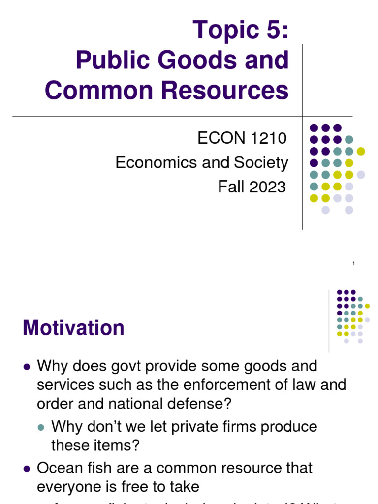 Topic 5. Public Goods and Common Resources | PDF | Goods | Externality