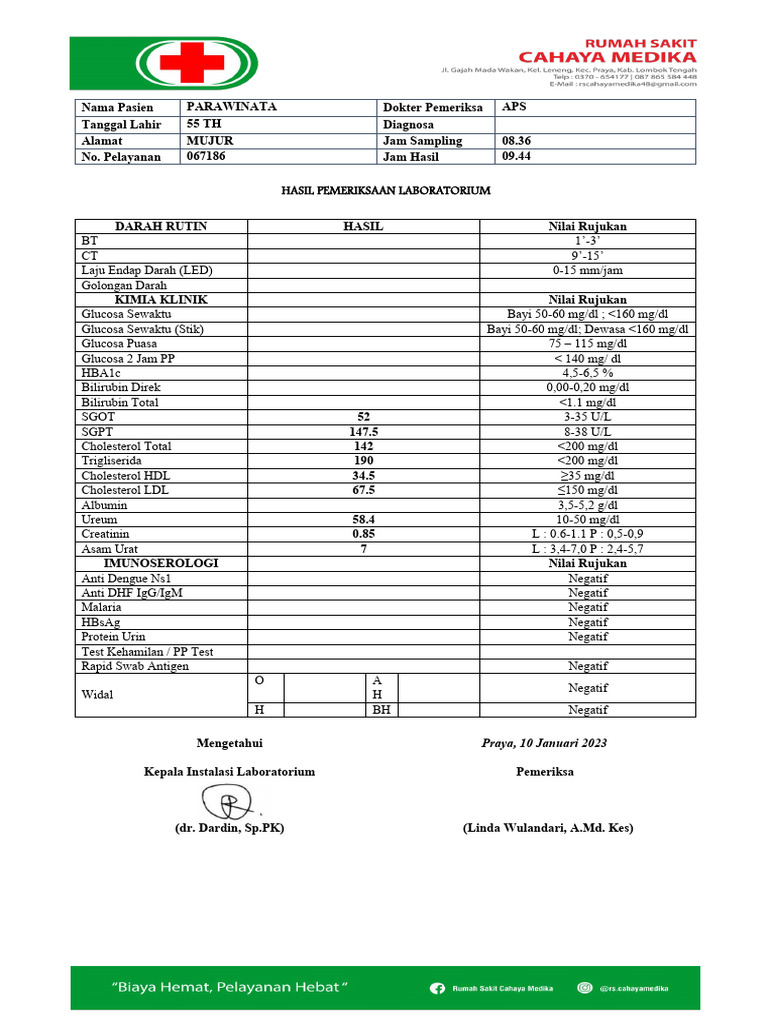 Hasil Pemeriksaan Lab | PDF