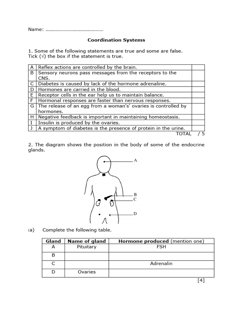 Coordination revision sheet biology | PDF | Hormone | Nervous System