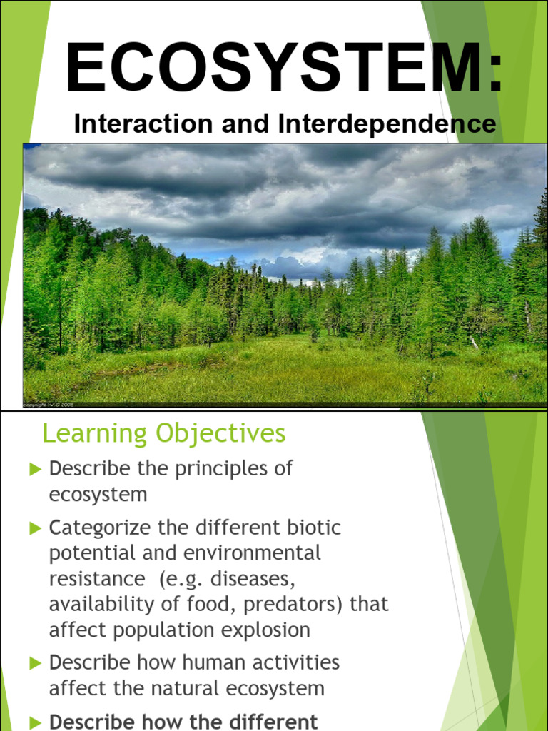 Ecosystem | PDF | Food Web | Ecosystem