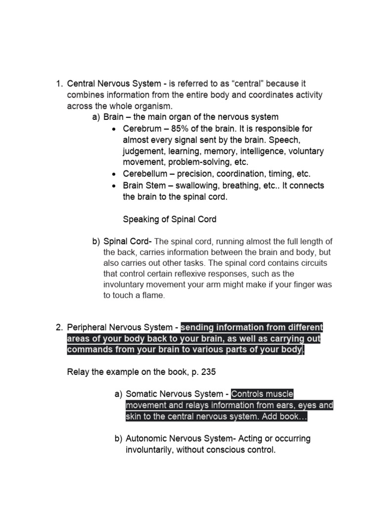 Central Nervous System | PDF