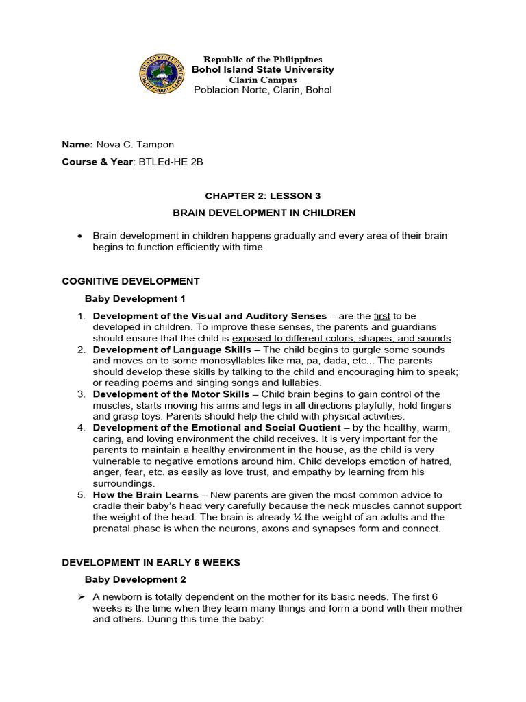 Brain Development | PDF | Toddler | Child Development