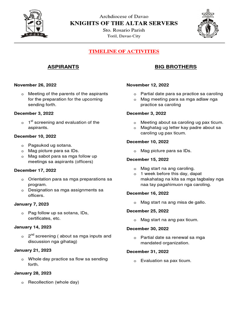 Timeline of Activities Format | PDF