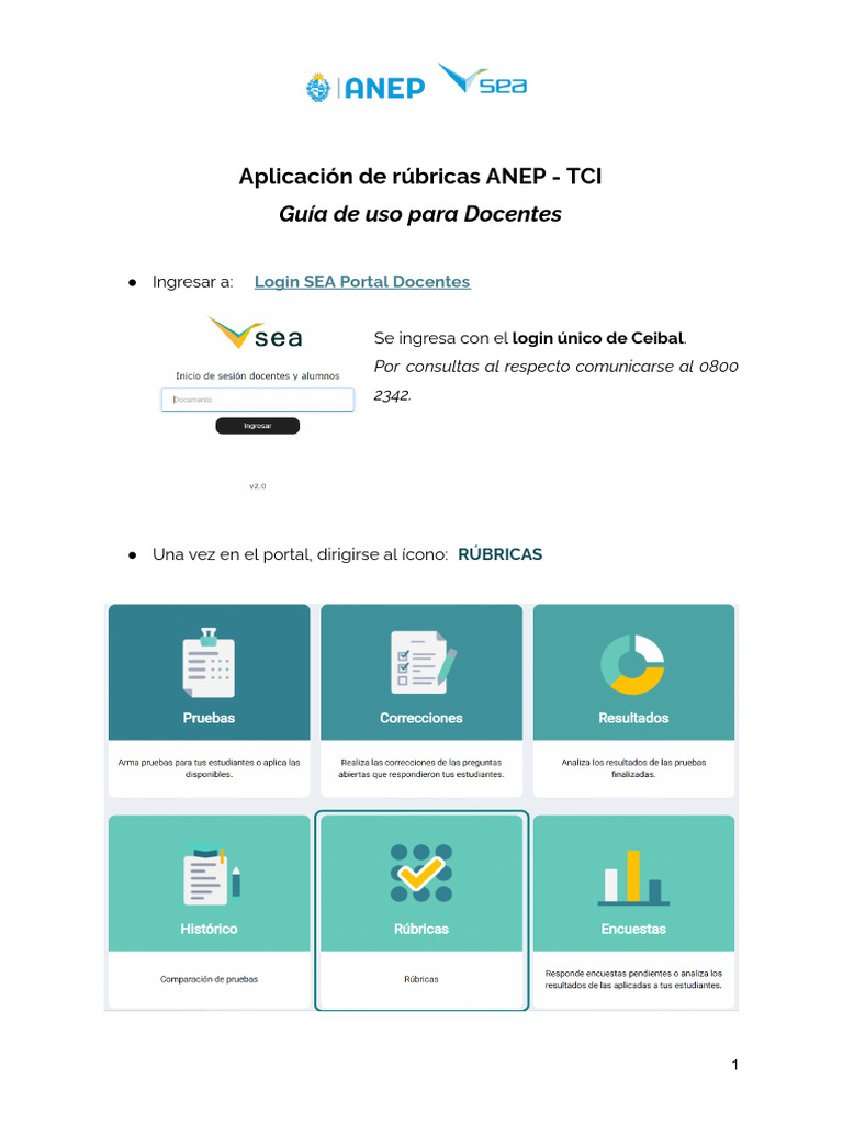 Aplicación de Rúbricas_ANEP_TCI_Guía de Uso Para Docentes | PDF ...