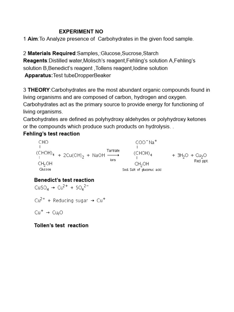 Food Test | PDF | Fat | Fatty Acid