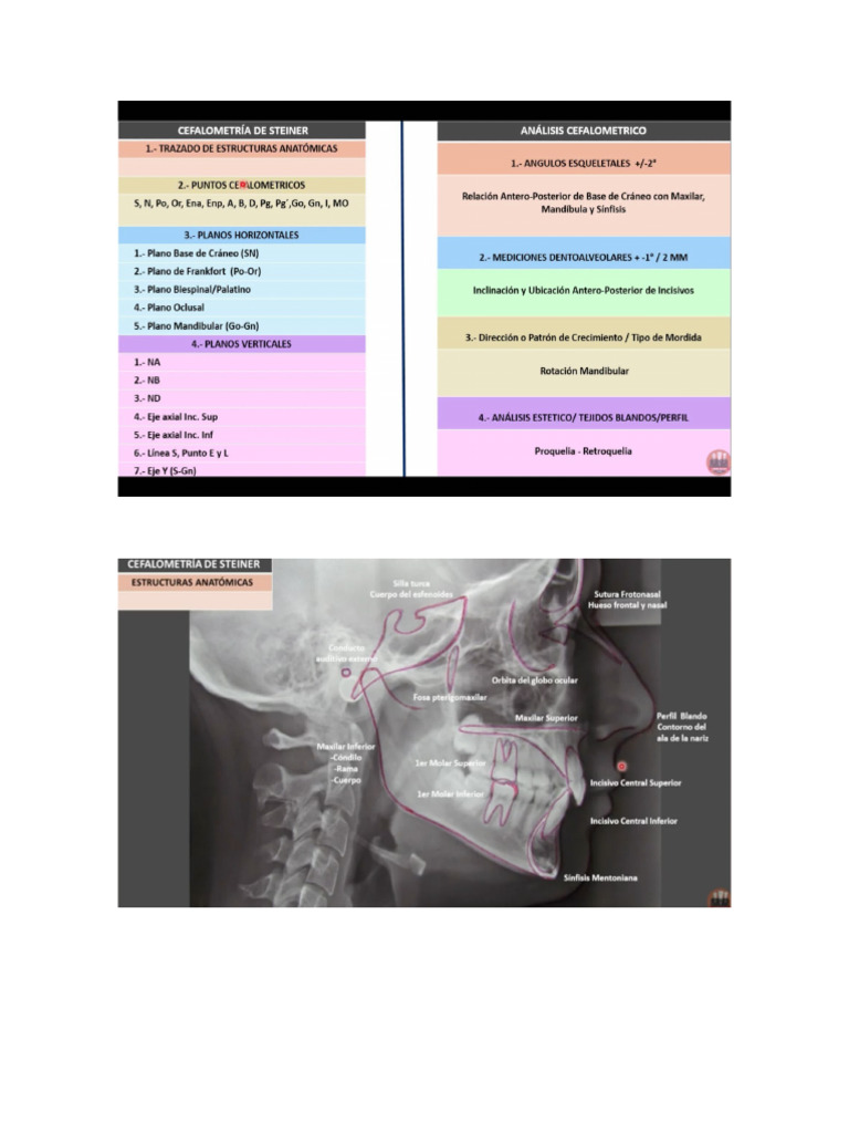 Steiner Repaso | PDF