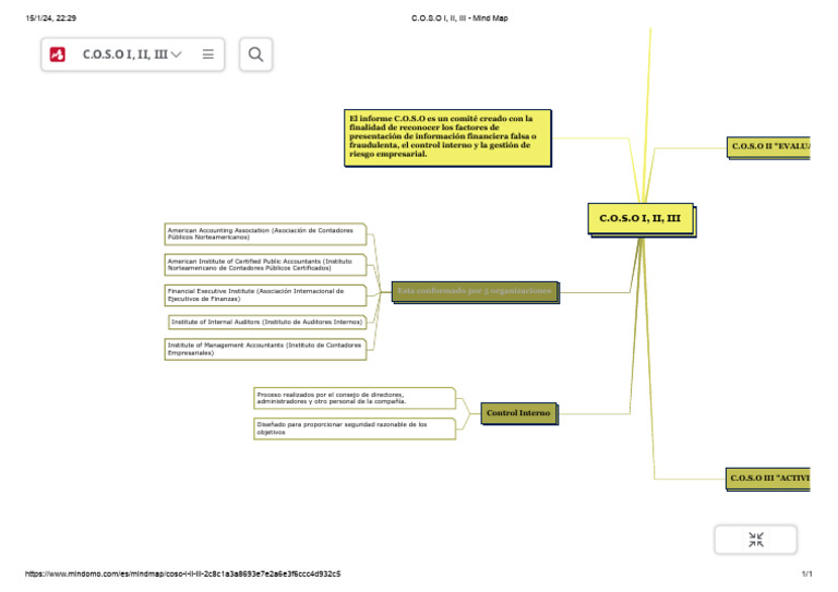 C.O.S.O I, II, III - Mind Map | PDF | Business | Economias