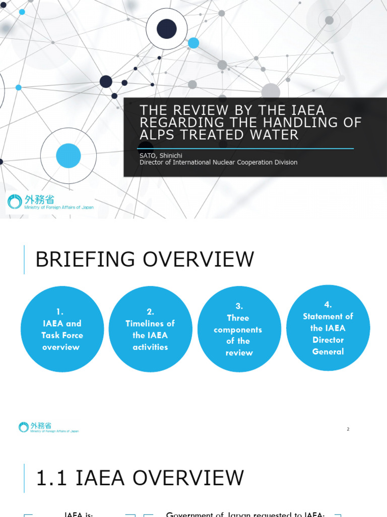 Iaea Review | PDF | International Atomic Energy Agency