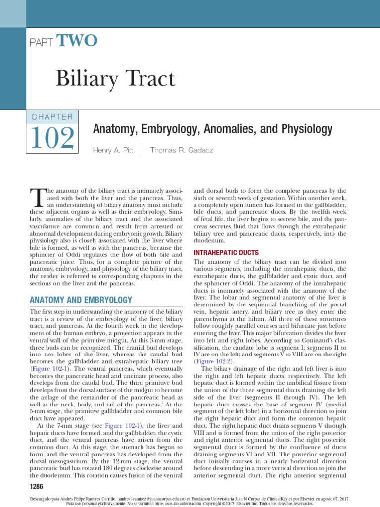Biliary Tract Anatomy, Embryology, Anomalies, And Physiology | PDF ...