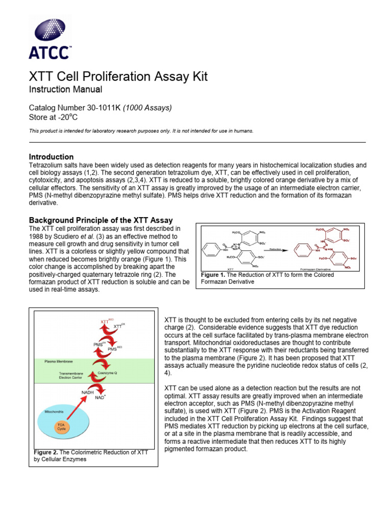 XTT Assay | PDF