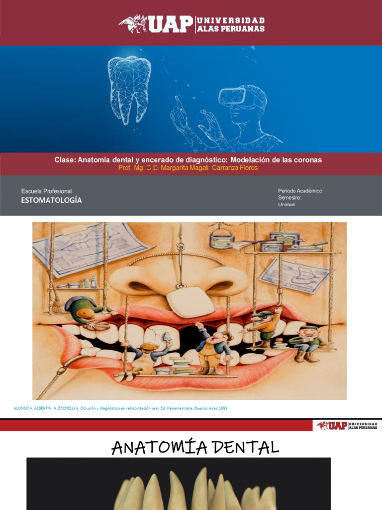 3 PPT Anatomia Dental y Encerado de Diagnostico Modelacion de Las ...