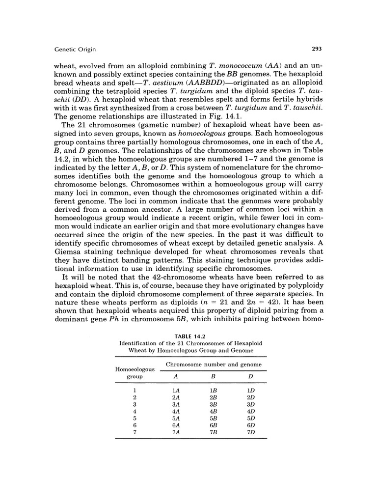 Triticale Ploidy Levels Explained | PDF | Ploidy | Wheat
