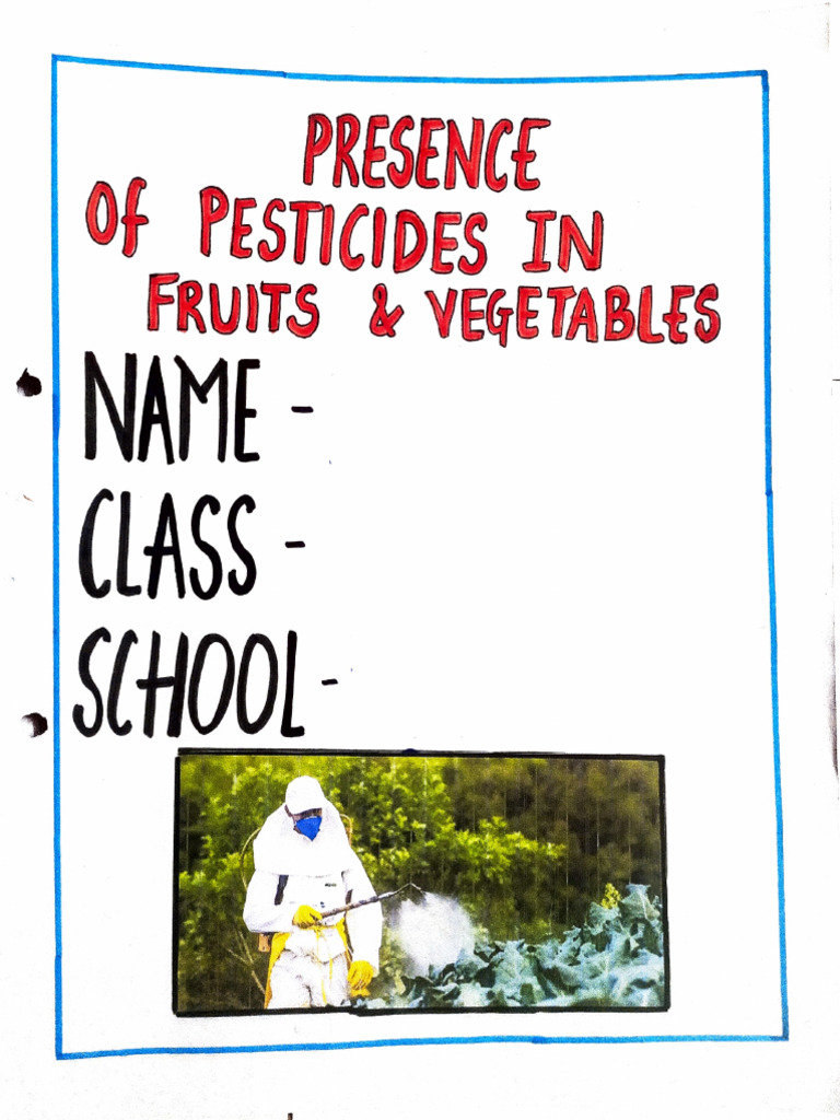 Class 12 Chemistry Investigatory Project | PDF