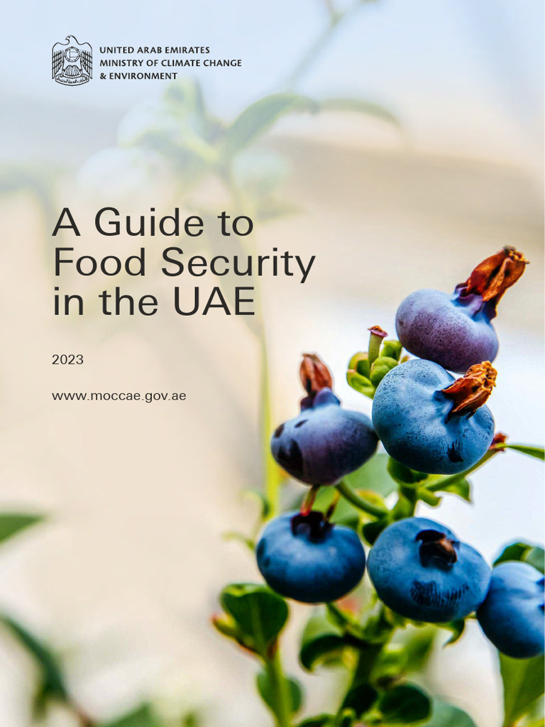 UAE National Food Security Strategy 2051 | PDF | Food Security ...