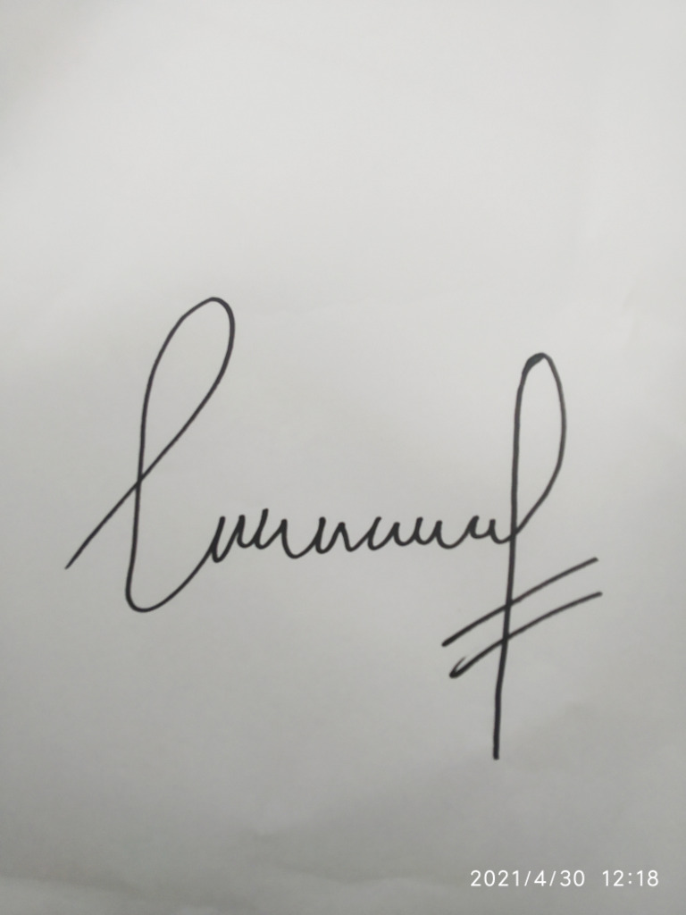 Tanda Tangan Rizki Siregar | PDF