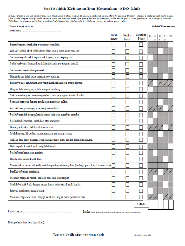 SDQ Scoring and Interpretation Guide | PDF