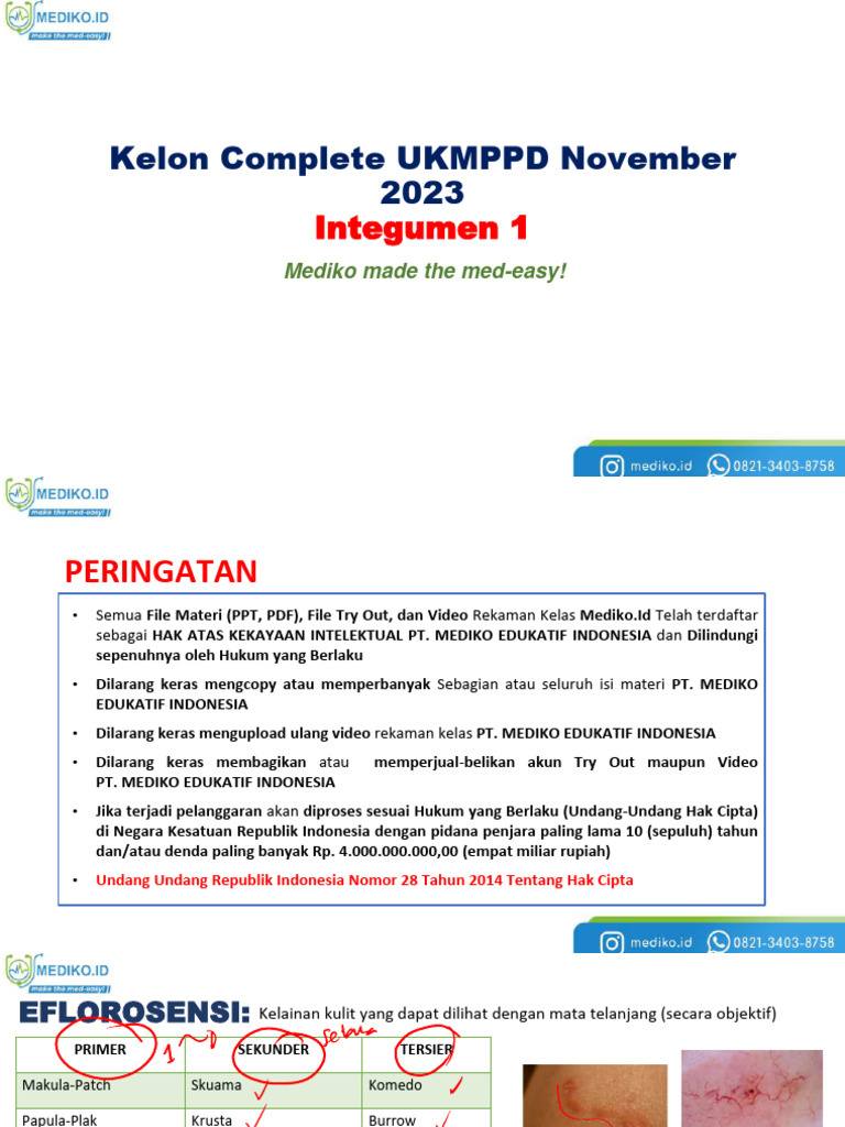 Coretan Integumen 1 Kelon Complete November 2023 | PDF