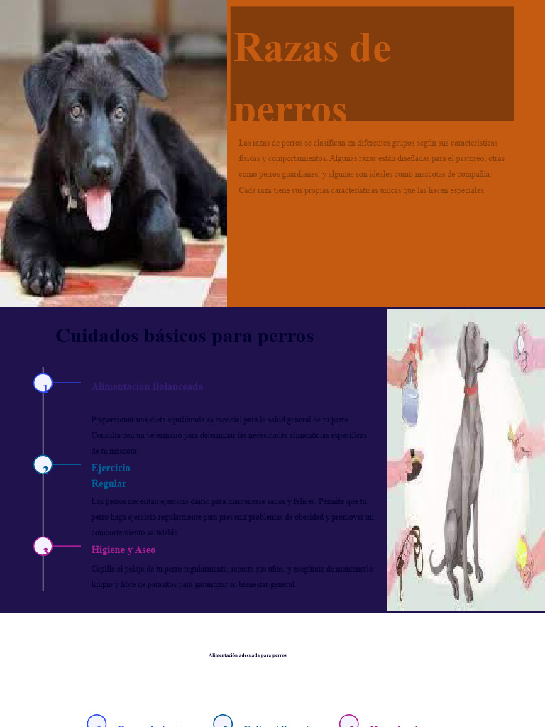 Razas de Perros | PDF | Alimentos | Nutrición