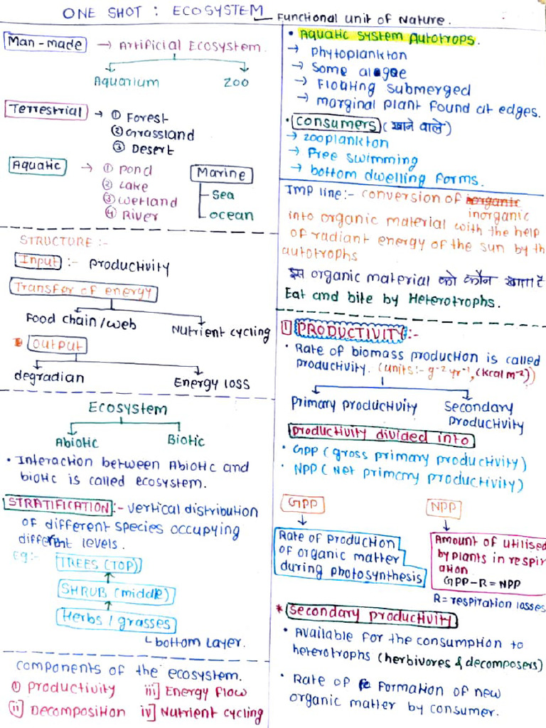 Ecosystem: Components and Functions | PDF | Ecosystem | Soil