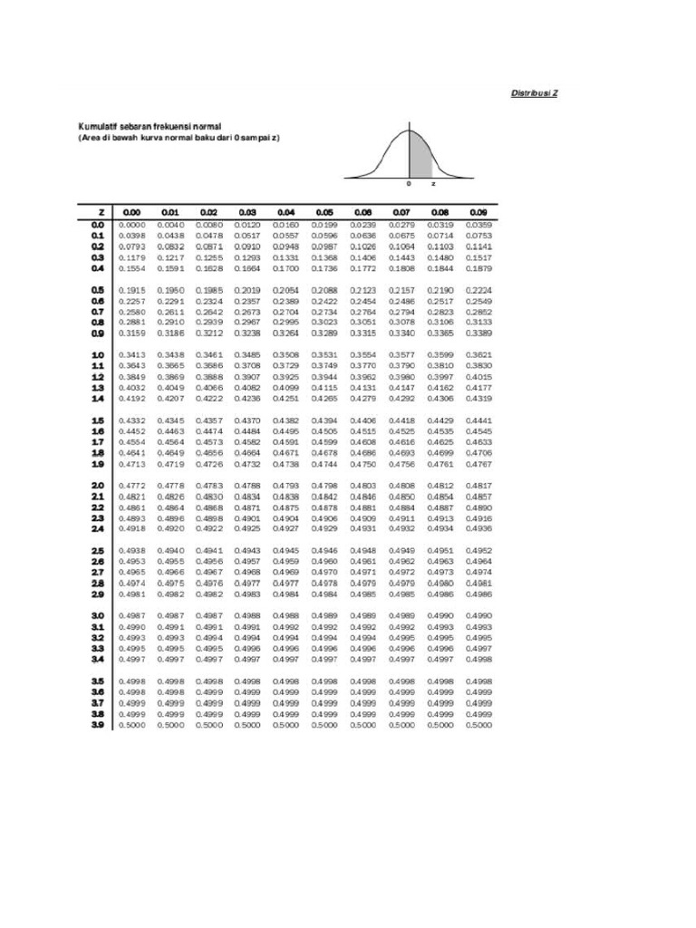 Z Skor | PDF