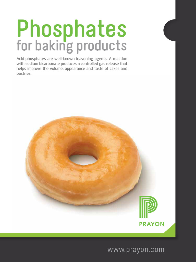 Prayon SALP Brochure | PDF