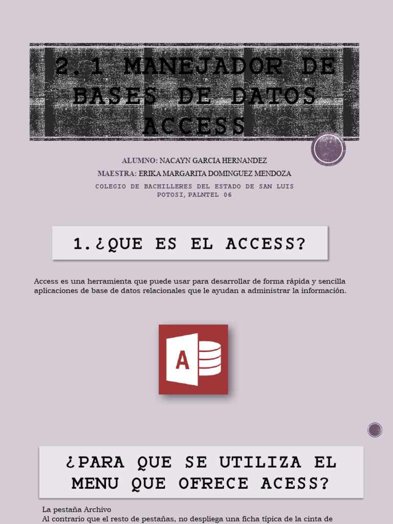 1.2 Manejador de Bases de Datos Access-1 | PDF | Bases de datos | Tipo de datos
