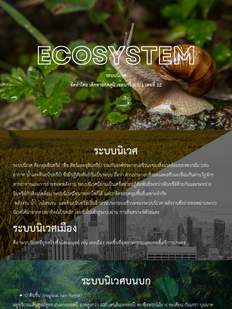 Eco Compressed | PDF
