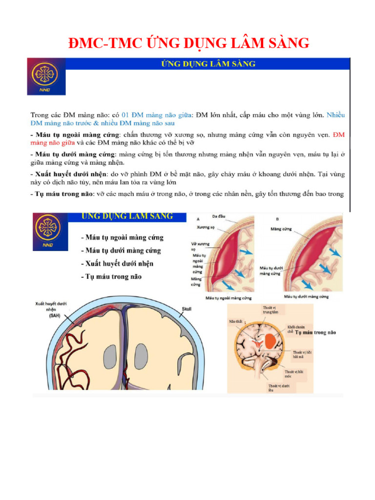 ĐMC - NG D NG Lâm Sàng | PDF