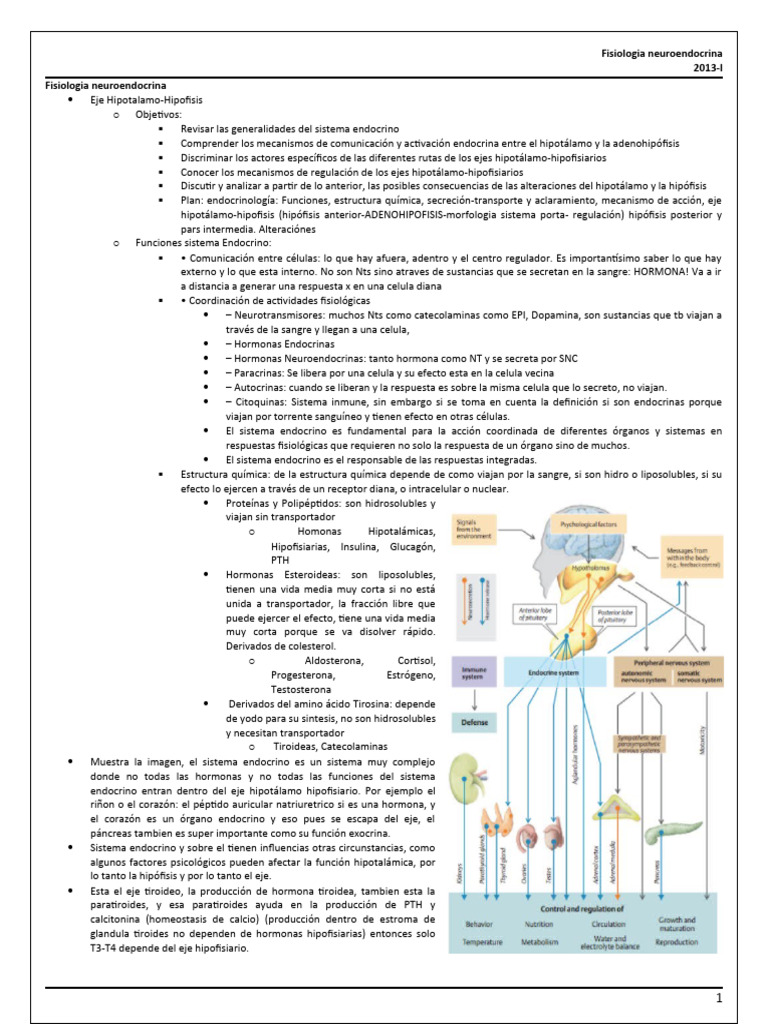 Fisiologia Neuroendocrina | PDF