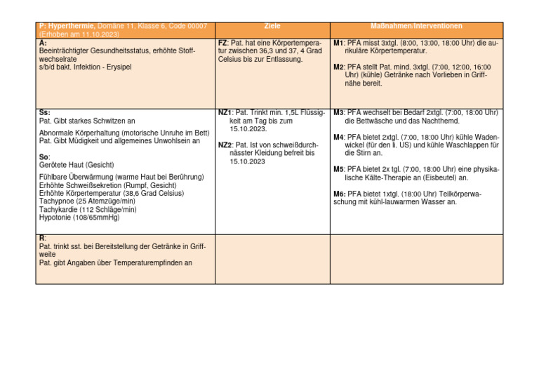 Pflegeplan Hyperthermie | PDF
