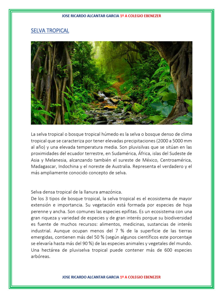 Características de la Selva Tropical | PDF | Selva | Ecología