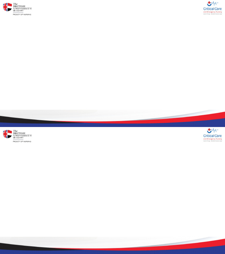 BUE Nursing Template 2023-2024 - With BUE Nursing Logo | PDF