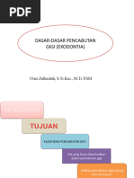Tabel Waktu Erupsi Gigi | PDF | Seni & Disiplin Bahasa | Kajian Bahasa ...
