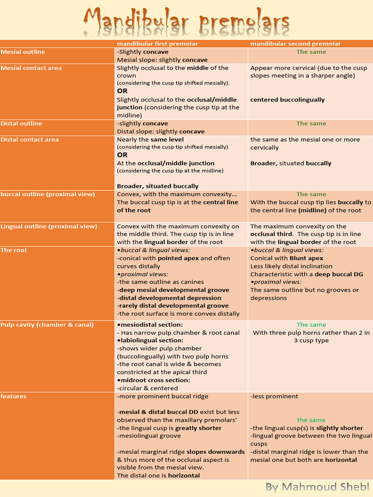 mandibular-premolars-pdf-dental-anatomy-dentistry