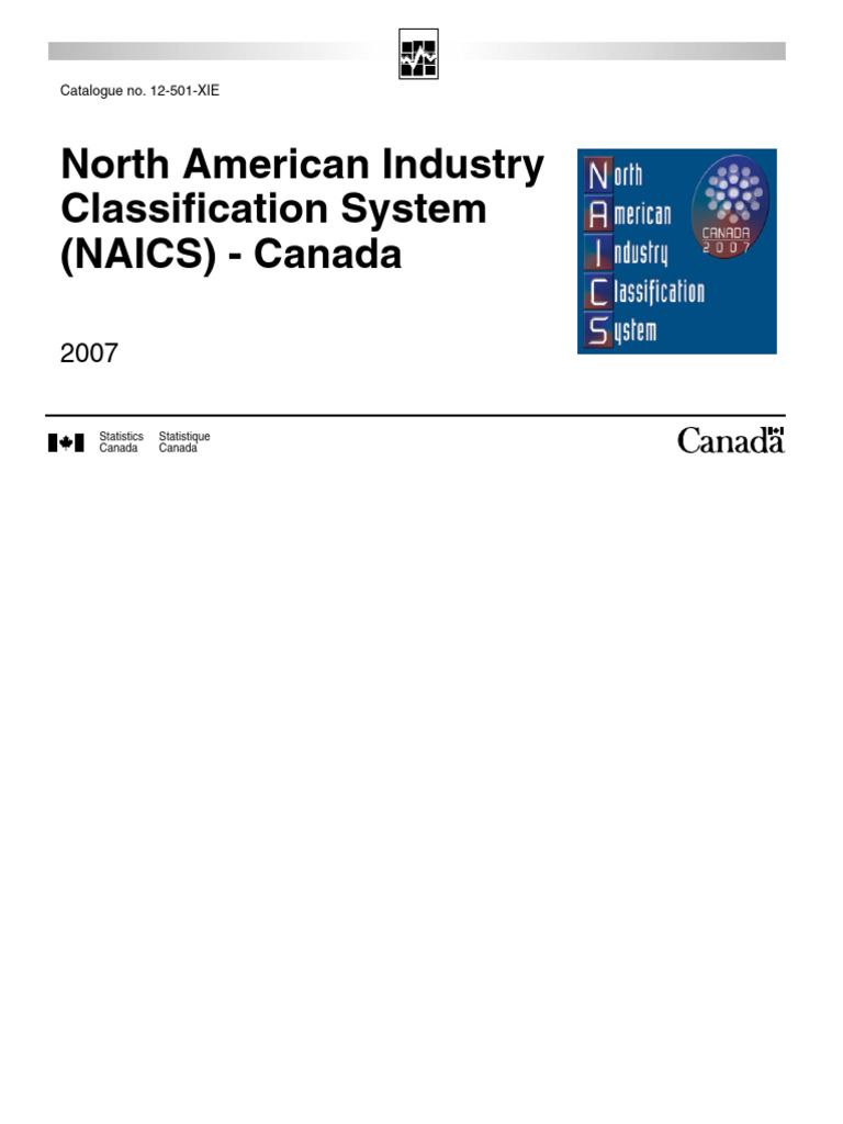 12 501 x2007001 Eng | PDF | North American Industry Classification ...