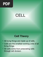 Cell Structure (Grade 6) - Free Printable Tests and Worksheets PDF ...