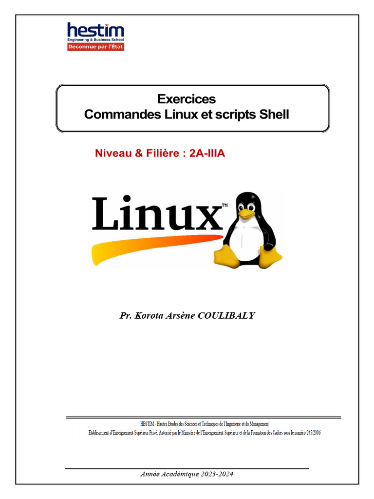 Exercices Commandes Linux Et Scripts Shell: Niveau & Filière: 2A-IIIA | PDF | Fichier ...