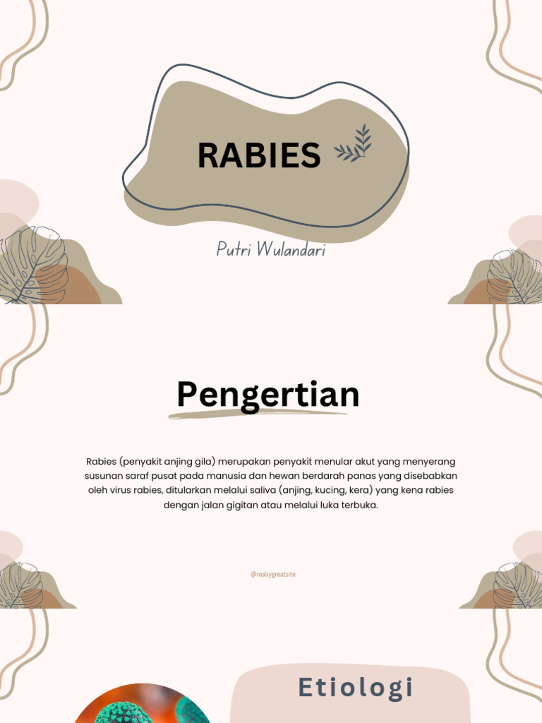Panduan Lengkap Rabies: Gejala dan Pencegahan | PDF