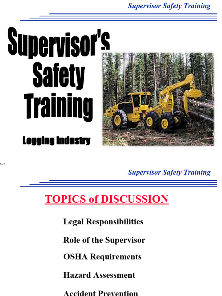 Supervisor Safety Logging 1 | PDF