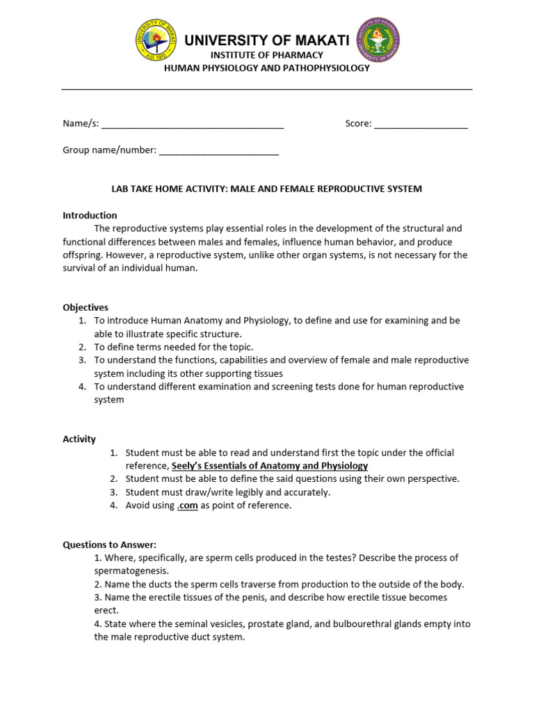 Male and Female Reproductive Systems Lab | PDF | Human Body ...