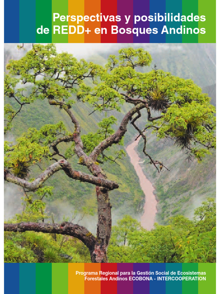 Perspectivas y Posibilidades REDD+ en Bosques Andinos, 2009. | PDF ...