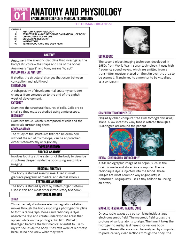 Anatomy and Physiology Overview | PDF | Human Body | Abdomen