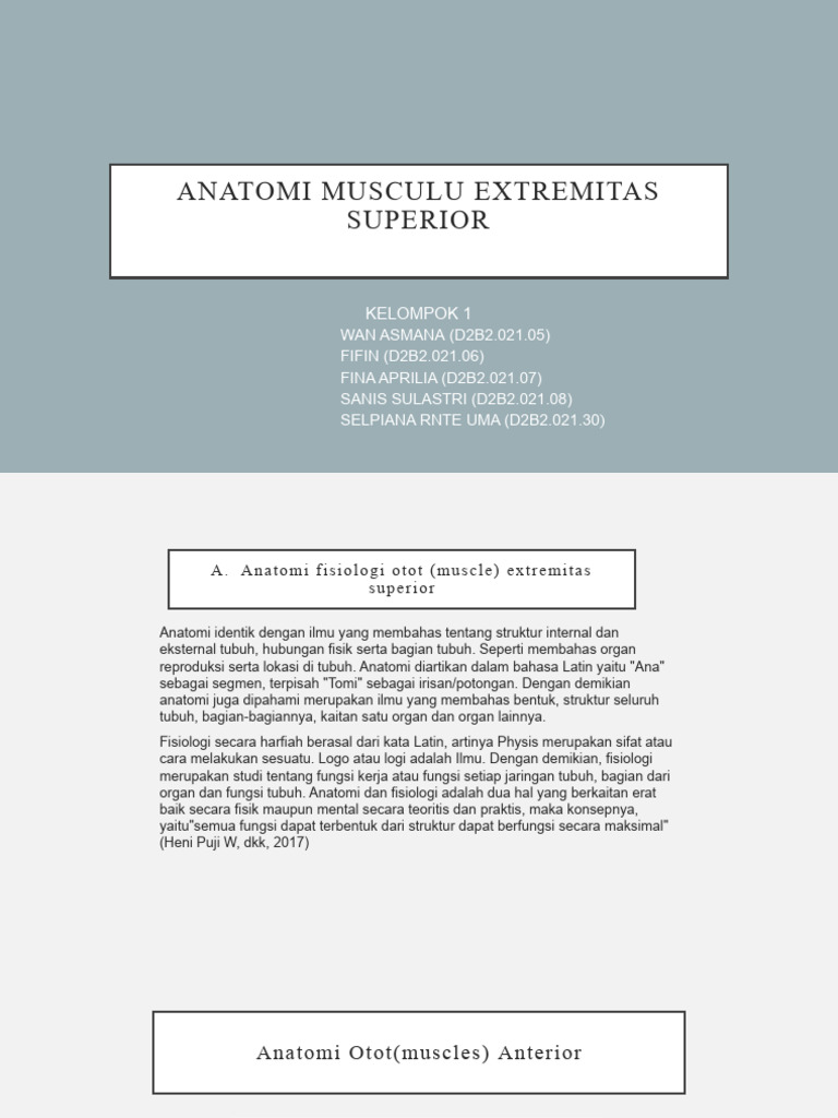 ANATOMI MUSCULU EXTREMITAS SUPERIOR | PDF