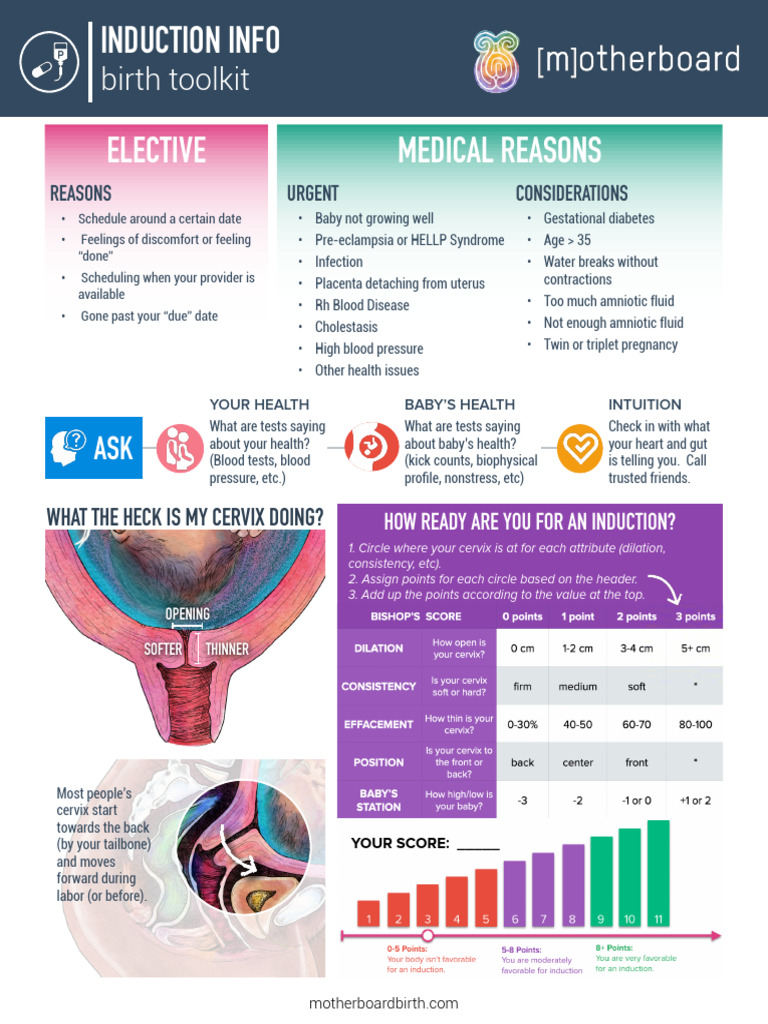 Class 4 19 Induction Info | PDF | Pregnancy | Childbirth