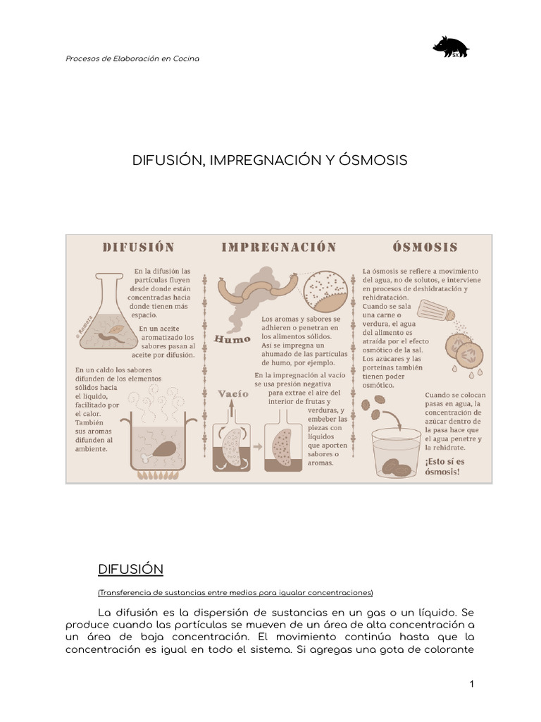 Osmosis, Impregnación y Disfusión | PDF | Difusión | Cocinando