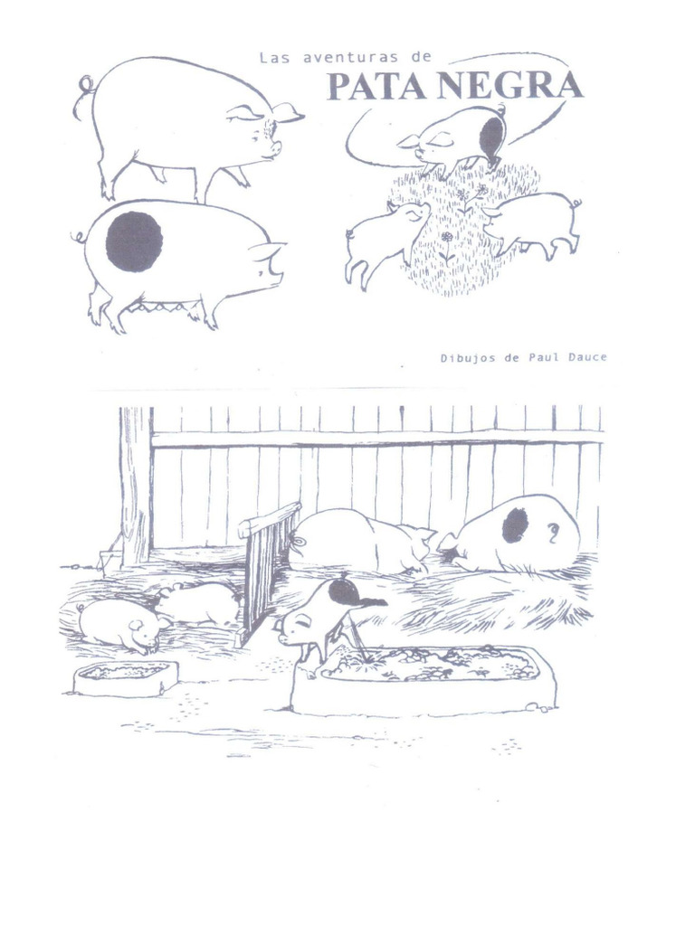 Laminas Test Pata Negra | PDF