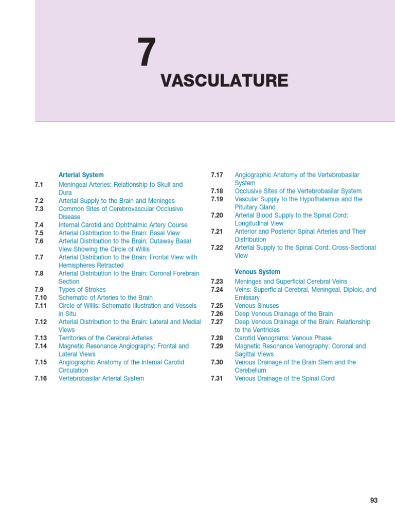 Netter-NeuroScience-Vasculature | PDF | Common Carotid Artery | Stroke
