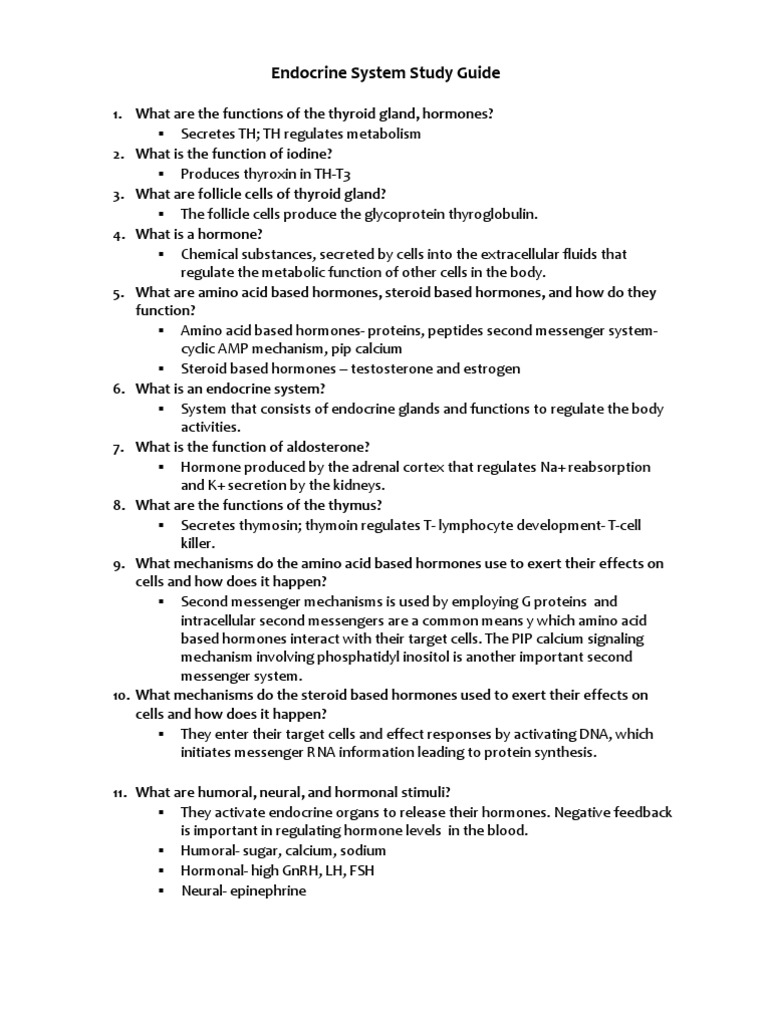 Endocrine System Study Guide | PDF | Hormone | Adrenal Gland