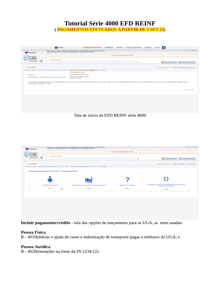 EFD REINF 4000 Tutorial | PDF