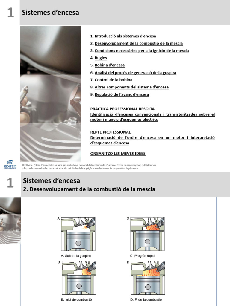 Ud01 SAM Cat PDF | PDF